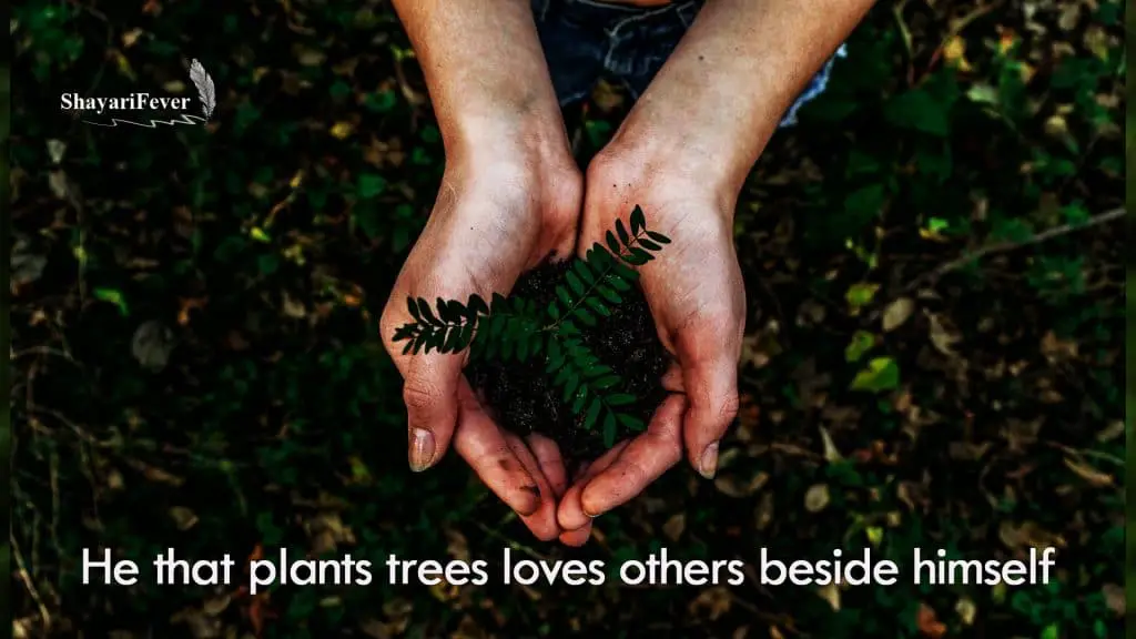 50+ Happy Earth Day Quotes & Sayings (2023) || World Earth Day Quotes ...